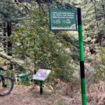 Shimla: Wildlife Sanctuary & Water Catchment Guided Tour - Why You Should Consider This Tour