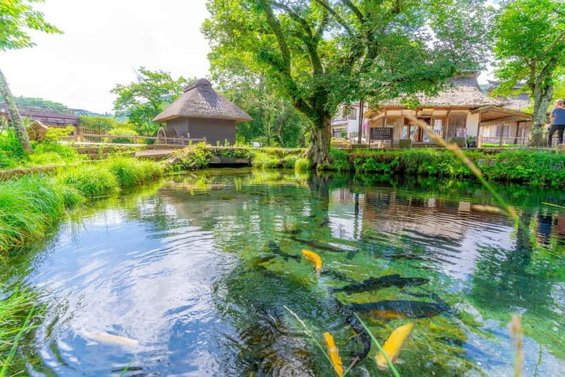 Shine Muscat Buffet, Fuji Ice Cave & Oshino Hakkai Day Tour - The Itinerary: What to Expect from Dawn to Dusk
