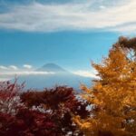 Shinjuku: Mount Fuji Panoramic View and Shopping Day Tour - What Sets This Tour Apart