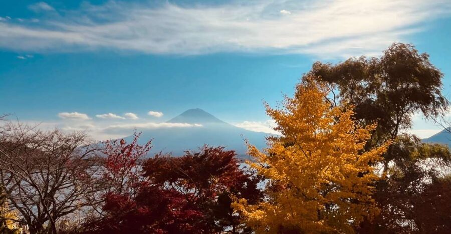 Shinjuku: Mount Fuji Panoramic View and Shopping Day Tour - What Sets This Tour Apart