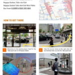 Shirakawago&HidaTakayama&GujoHachiman 1 Day Tour from Nagoya - Highlights and What You’ll See