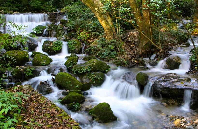 Shivapuri National Park Hike  Scenic Day Trek - Who Will Love This Trek?