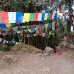 Shivapuri Peak Day Hike from Kathmandu - The Practical Side: What to Expect and Tips