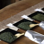 Shizuoka: Japanese Tea Tour with Tasting and Tea Making - What to Expect During the Tour