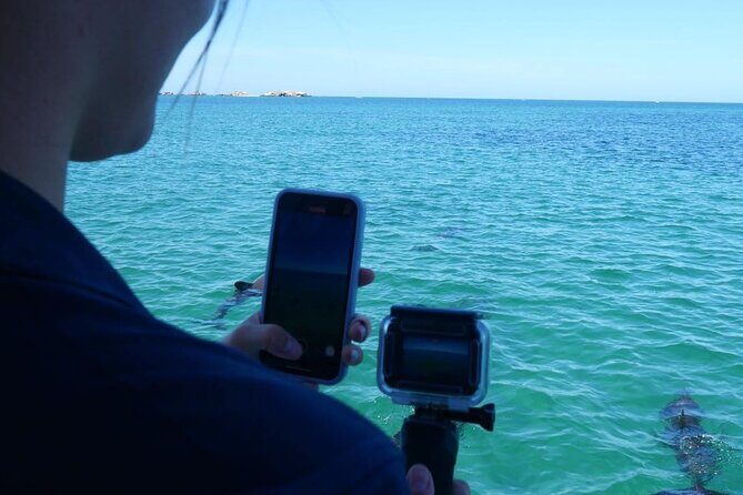 Shoalwater Islands Marine Park Cruise with Lunch - The Fine Print: Logistics and Practicalities