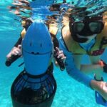 Shopping & Mexican Flavors with Transportation Included - What the Reviews Say