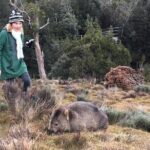 Shore Excursion - Cradle Mountain Shuttle Bus from Burnie - How Does It Value Compare?