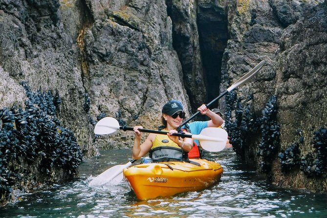 Shore Excursion Guided Sea Kayaking through Akaroa Marine Reserve - An In-Depth Look at the Experience in Akaroa
