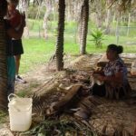 Shore Excursion: Half-Day Anahulu Cave and Cultural Tour - Authentic Guest Experiences