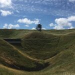 Shore Excursion: Half-Day Auckland Volcanoes Tour - Who Will Love This Tour?