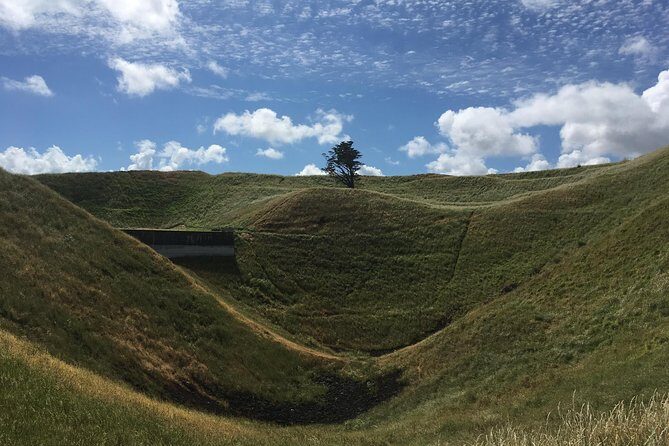 Shore Excursion: Half-Day Auckland Volcanoes Tour - Who Will Love This Tour?