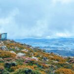 Shore Excursion: Hobart Wanderer - The Value of the Hobart Wanderer