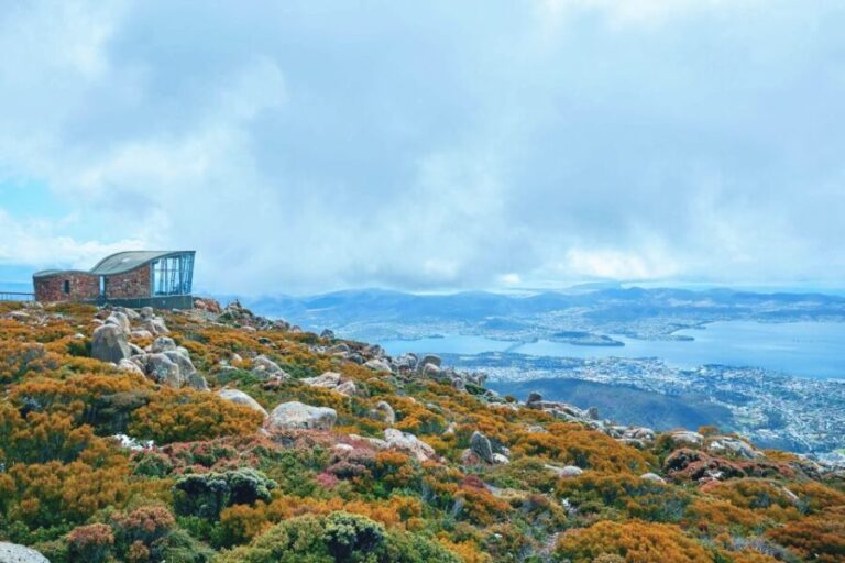 Shore Excursion: Hobart Wanderer - The Value of the Hobart Wanderer