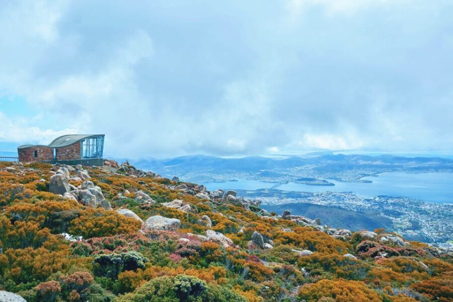 Shore Excursion: Hobart Wanderer - The Value of the Hobart Wanderer