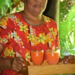 Shore Excursion-Nadi Mudpools,Sleeping Giants Gardens,Markets, Temple & Shopping - The Value Proposition