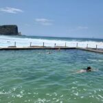 Shore Excursion: Sydney's Northern Beaches & Ku-ring-gai National Park Bus Tour - Who Would Love This Tour?