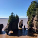 Shore Excursion to Hopewell Rocks and Fundy National Park - Final Thoughts