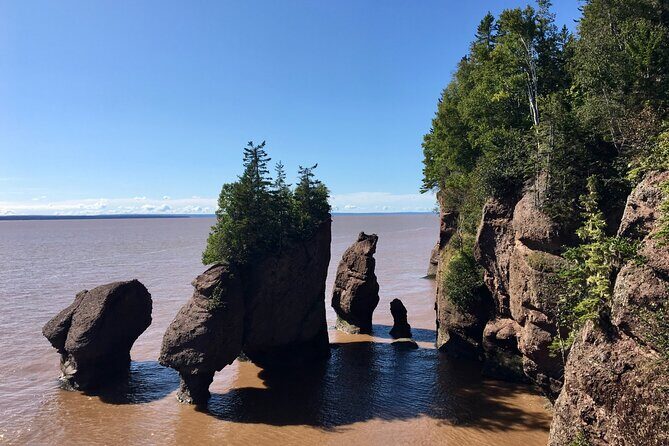 Shore Excursion to Hopewell Rocks and Fundy National Park - Final Thoughts