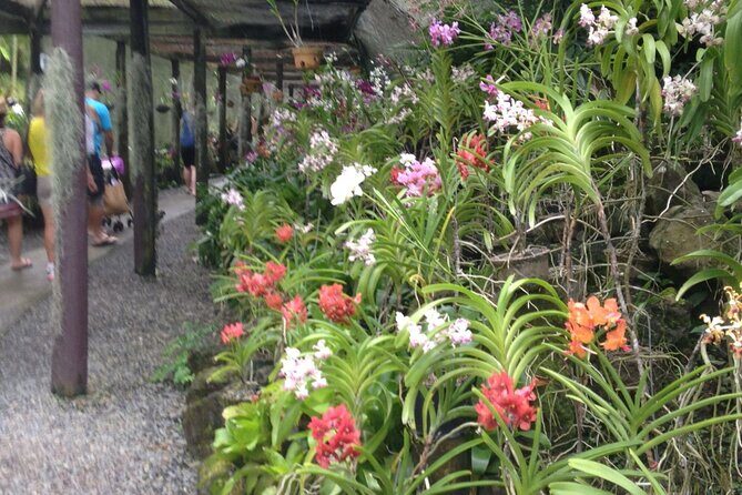 Shore Excursion-Wonders of Nadi Sightseeing Tour-Temple,Gardens,Markets&Shopping - Who will love this tour?