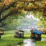 Shore Excursions Private & Customizable From Port-Pick & Drop - What Travelers Love and What to Consider