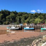 Shore Tours - What Travelers Say
