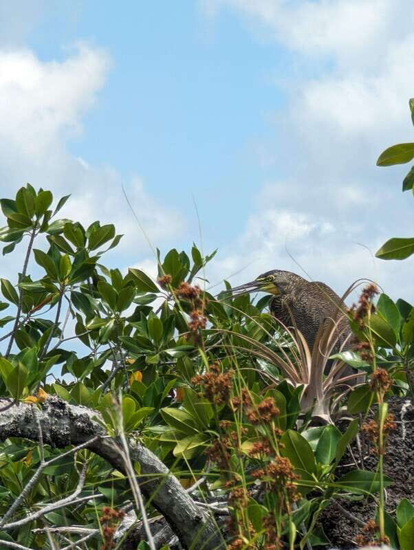 Sian Ka'an Channels and Underground River - Private Tour - Why We Think This Tour Offers Great Value