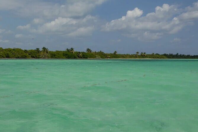 Sian Kaan Reserve Private Bike Tour - Introduction: A Well-Balanced Adventure for Nature Enthusiasts