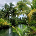 Siargao: Land Tour with Lunch and Sugba Lagoon - Final Thoughts: Is It Worth It?