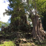 Siem Reap: 4 hour-Angkor Thom City Guided Tour - The Experience: What It Feels Like and Why It Matters