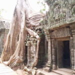 Siem Reap: 4 Hour-Ta Prohm and Banteay Kdei Guided Tour - The Experience of Visiting Srah Srang, Banteay Kdei, and Ta Prohm