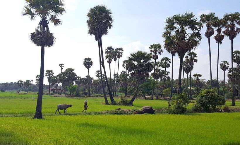 Siem Reap: 6-Hour Easy Rider Motorbike Tour - A Closer Look at the Itinerary