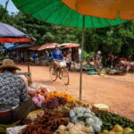 Siem Reap: Afternoon Cooking Class & Village Tour - Who Should Book This Tour?