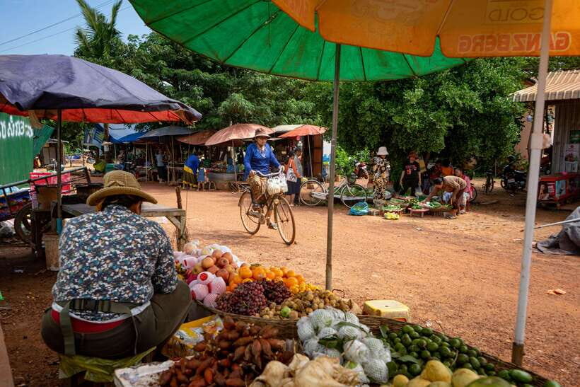 Siem Reap: Afternoon Cooking Class & Village Tour - Who Should Book This Tour?