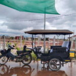 Siem Reap: Angkor Temples Tour by a Private Tuk Tuk - In The Sum Up