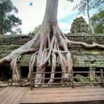 Siem Reap: Angkor Wat Admission Ticket - A Detailed Look at the Experience