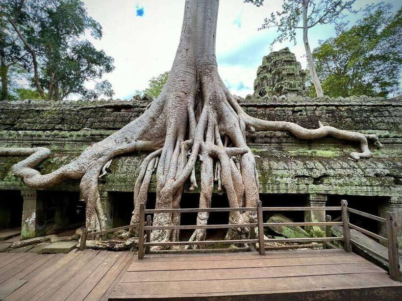 Siem Reap: Angkor Wat Admission Ticket - A Detailed Look at the Experience