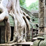 Siem Reap: Angkor Wat Sunrise and Best Temples Tour - Learning about Angkor and Khmer Culture