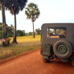Siem Reap: Countryside Jeep Tour 3 hours - Who Is This Tour Best For?