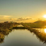 Siem Reap: Countryside Sunset Jeep Tour with Drinks - What’s Included and What to Expect