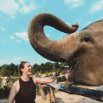 Siem Reap: Elephant Sanctuary Included Hotel Pickup Drop-off - Who Is This Tour Best For?
