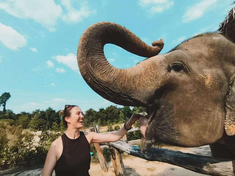 Siem Reap: Elephant Sanctuary Included Hotel Pickup Drop-off - Who Is This Tour Best For?