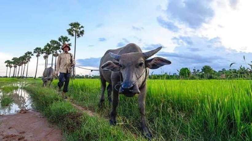 Siem Reap: Guided Countryside Sunset Tour by Jeep - Detailed Breakdown of the Itinerary