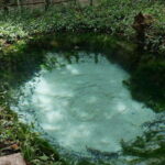 Siem Reap: Koulen Mountain Waterfall Private Car with Guide - Who Will Love This Tour?