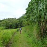 Sigatoka Sand Dune and Water Fall Nature Tour Ex Nadi Sigatoka - Exploring the Sigatoka Sand Dunes National Park
