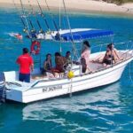 Sighting DE Marine Mammals and Snorkeling - The Marine Mammal Watching Experience