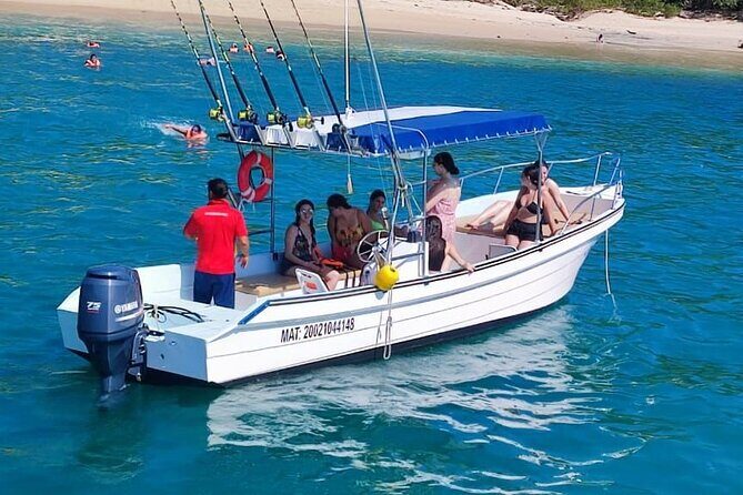Sighting DE Marine Mammals and Snorkeling - The Marine Mammal Watching Experience