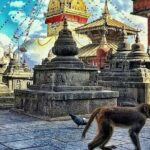 Sightseeing: Kathmandu City Day Tour (4 UNESCO heritages) - Key Points