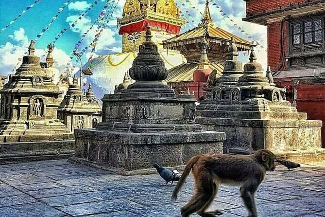 Sightseeing: Kathmandu City Day Tour (4 UNESCO heritages) - Key Points