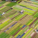 Sightseeing My Son and around Hoi An by car with private driver. - What’s Included and What’s Not