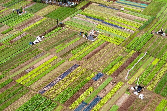 Sightseeing My Son and around Hoi An by car with private driver. - What’s Included and What’s Not